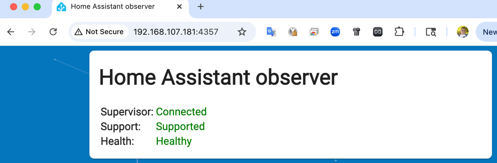 Waiting for the Home Assistant CLI to be ready...
